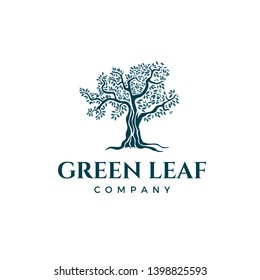Modern Tree Logo Design Green Leaf Stock Vector (Royalty Free) 1398825593