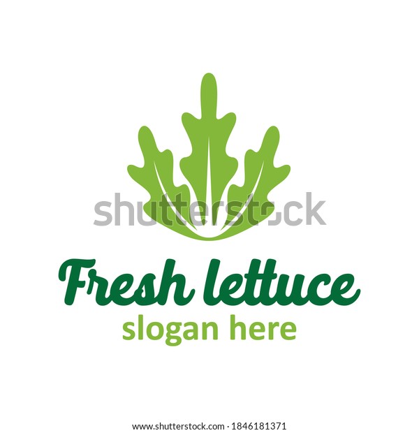 Modern Vector Graphic Lettuce Perfect Food Stock Vector (Royalty Free ...