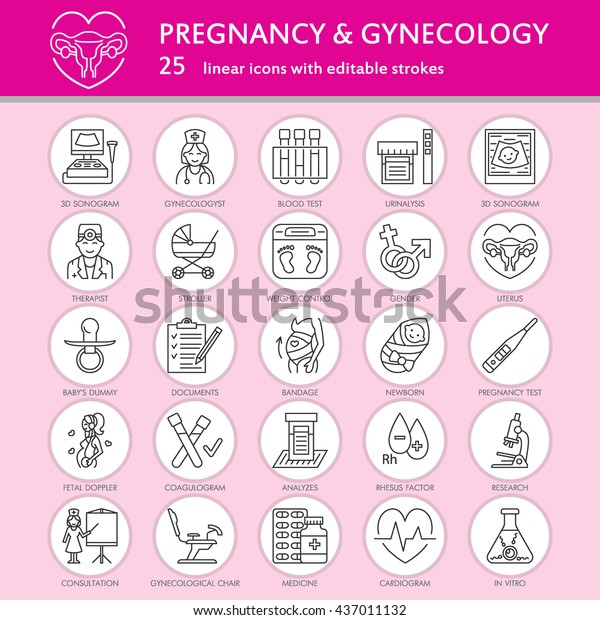 Modern Vector Line Icon Pregnancy Planning Stock Vector (Royalty Free ...