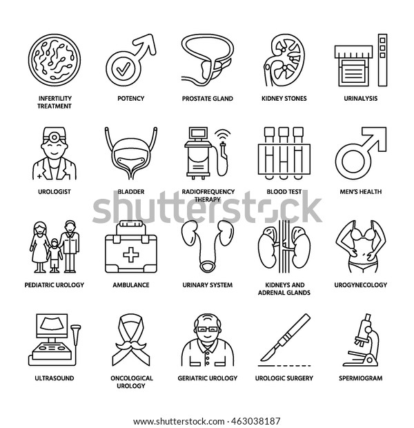 Modern Vector Line Icons Urology Elements Stock Vector (Royalty Free ...