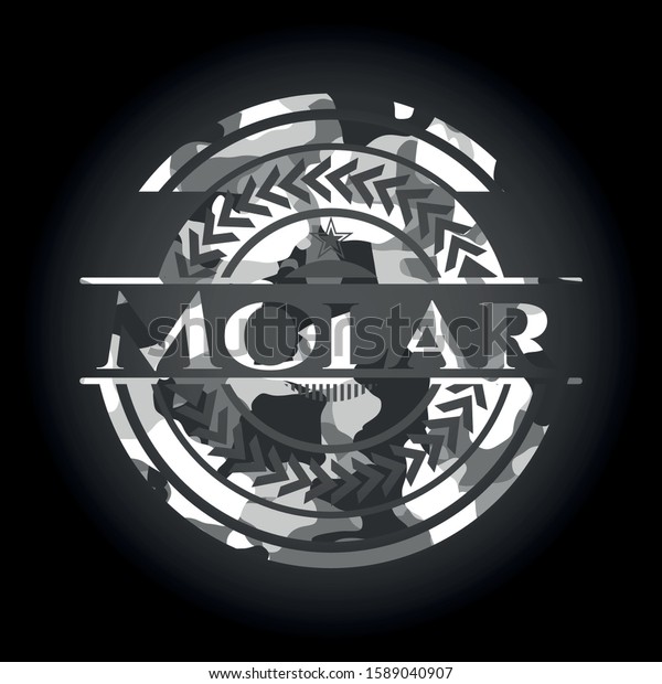 Molar Grey Camouflage Emblem Vector Illustration Stock Vector (Royalty ...