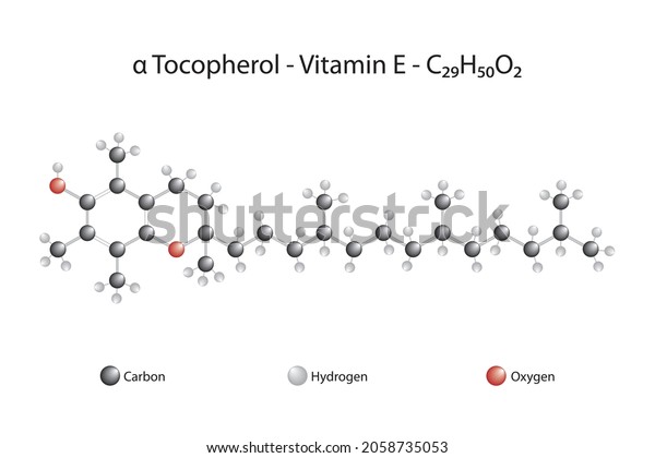 Molecular Formula Alpha Tocopherol Alpha Tocopherol Stock Vector ...