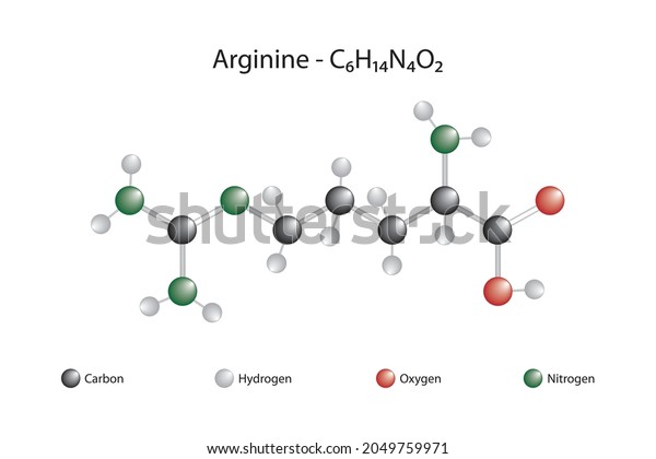 Fórmula molecular de arginina. La arginina es uno de los 20 aminoácidos ...