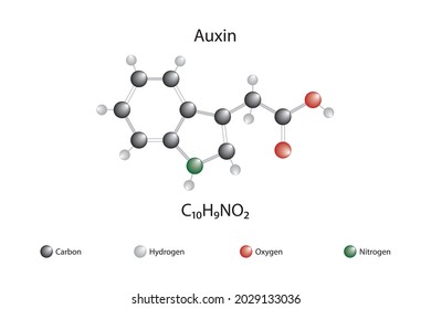 224 Auxin Images, Stock Photos & Vectors | Shutterstock