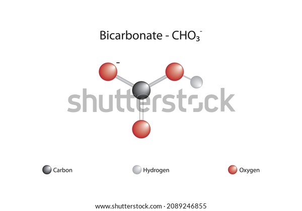 Molecular Formula Bicarbonate Bicarbonate Intermediate Inorganic Stock ...