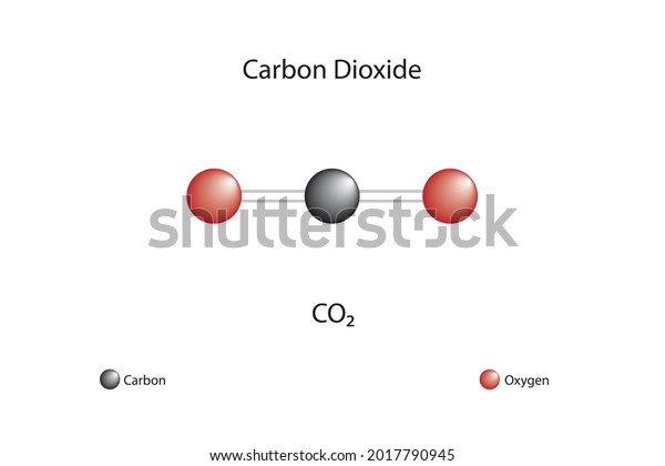 Molecular Formula Carbon Dioxide Chemical Structure Stock Vector ...