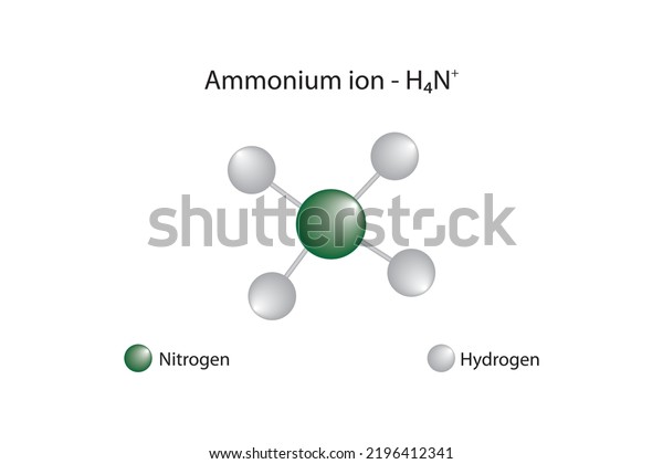 Molecular Formula Chemical Structure Ammonium Ion Stock Vector (Royalty ...