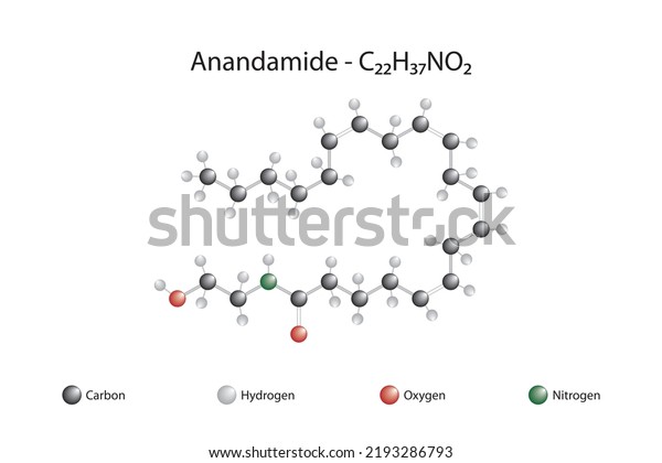 Molecular Formula Chemical Structure Anandamide Stock Vector (Royalty ...