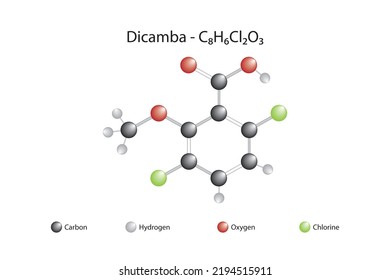 Molecular Formula Chemical Structure Dicamba Stock Vector (Royalty Free ...