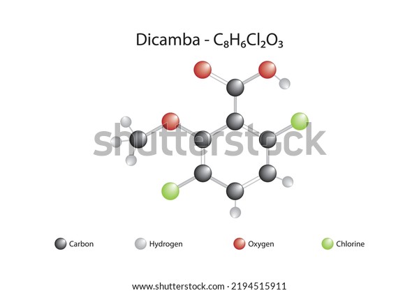 Molecular Formula Chemical Structure Dicamba Stock Vector (Royalty Free ...