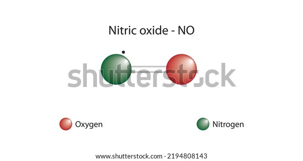 Molecular Formula Chemical Structure Nitric Oxide Stock Vector (Royalty ...