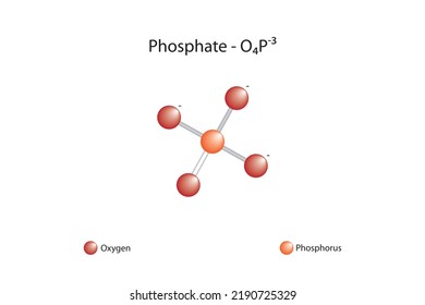 Molecular Formula Chemical Structure Phosphate Stock Vector (Royalty ...