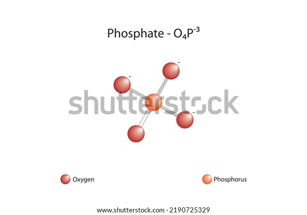 Molecular Formula Chemical Structure Phosphate: เวกเตอร์สต็อก (ปลอดค่า ...