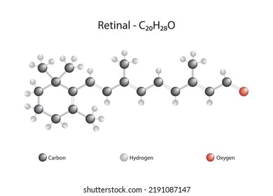Molecular Formula Chemical Structure Retinal Stock Vector (Royalty Free ...