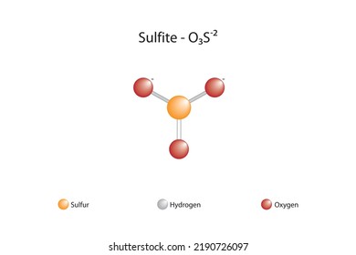 Molecular Formula Chemical Structure Sulfite Stock Vector (Royalty Free ...