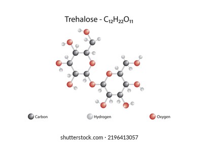 Molecular Formula Chemical Structure Trehalose Stock Vector (Royalty ...