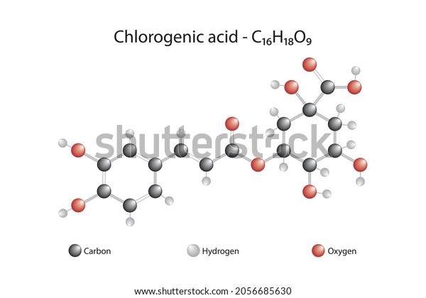 Molecular Formula Chlorogenic Acid Chlorogenic Acid Stock Vector ...