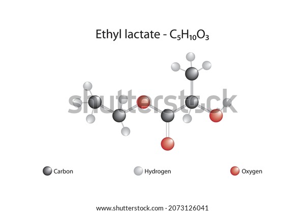 Molecular Formula Ethyl Lactate Ethyl Lactate Stock Vector (Royalty ...