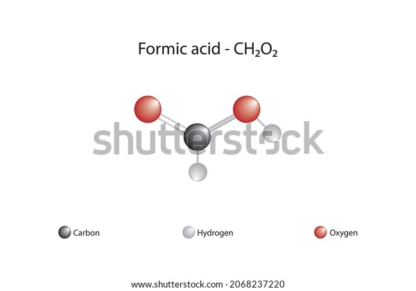 Molecular Formula Formic Acid Formic Acid Stock Vector (Royalty Free ...
