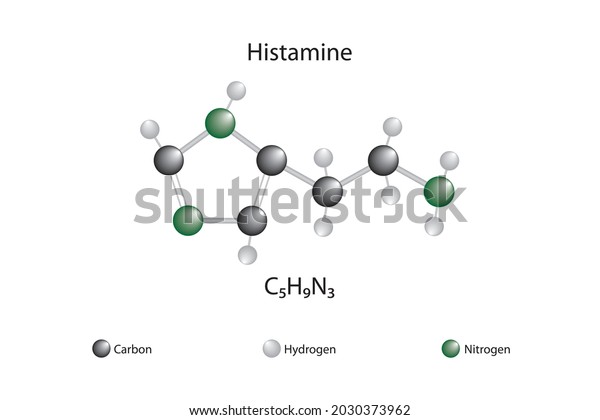 Molekulare Histaminformel. Histamin ist eine Stickstoffverbindung, die ...