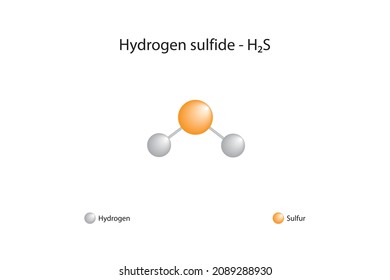 Molecular Formula Hydrogen Sulfide Hydrogen Sulfide: เวกเตอร์สต็อก ...