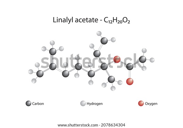 Molecular Formula Linalyl Acetate One Main Stock Vector (Royalty Free ...