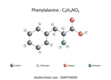 Molecular Formula Phenylalanine Phenylalanine Nutritionally Essential ...