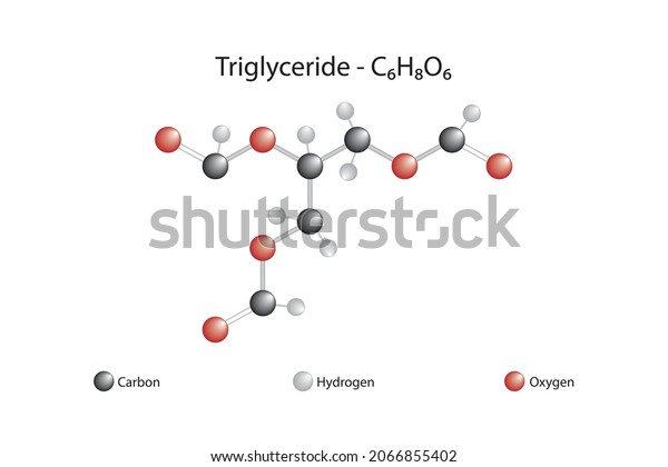 Molecular Formula Triglyceride Triglyceride Ester Glycerol Stock Vector ...