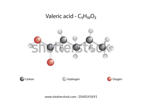 Molecular Formula Valeric Acid Valeric Acid Stock Vector (Royalty Free ...