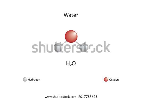 Molecular Formula Water Chemical Structure Water: เวกเตอร์สต็อก (ปลอด ...