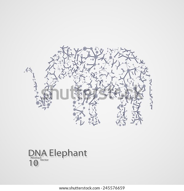 Molecular Structure Form Elephant Vector Elegant Stock Vector (Royalty ...