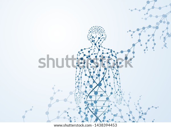 Molecule Body Concept Human Dna Vector Stock Vector (Royalty Free ...