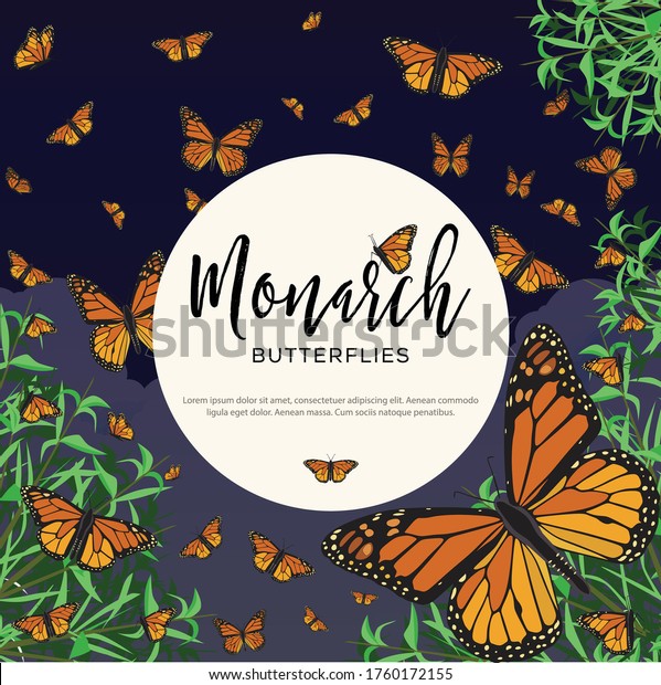 Monarch Butterflies Flying Night Composition Copy Stock Vector (Royalty ...