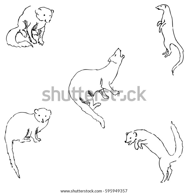 Mongoose Sketch By Hand Pencil Drawing Stock Vector (Royalty Free ...