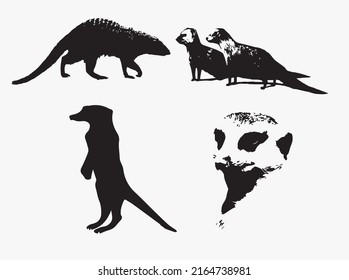 Mongoose Vector Art Icons Graphics Free Stock Vector (Royalty Free ...