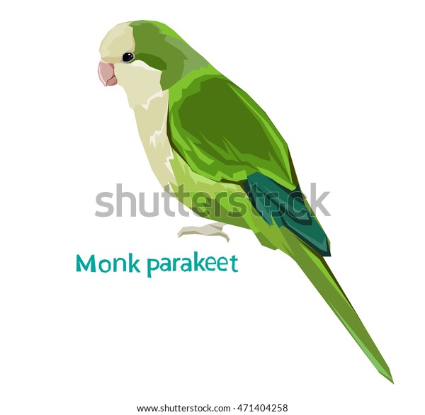 monk parakeet vector illustration, bird vector illustration, parrot