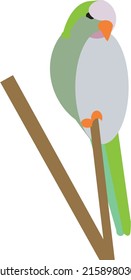 39 Drawing Parrot Monk Images, Stock Photos & Vectors | Shutterstock