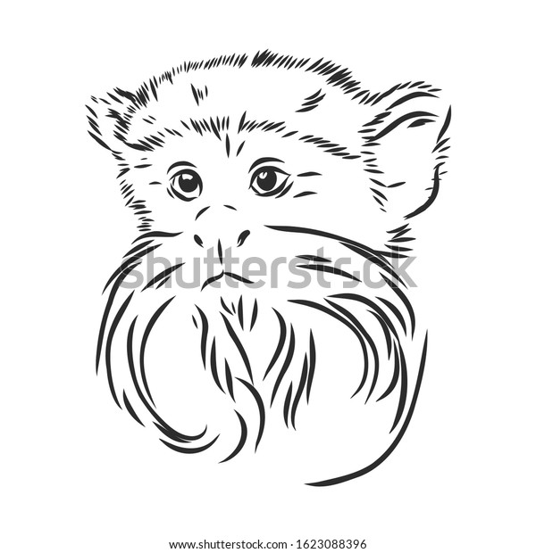 Monkey Mustache Beard Stock Vector (Royalty Free) 1623088396 | Shutterstock