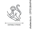 Affe: Über 228.154 lizenzfreie lizenzierbare Stockillustrationen und ...