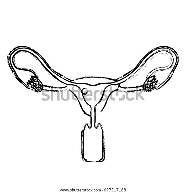 Monochrome Blurred Silhouette Female Reproductive System เวกเตอร์สต็อก