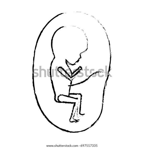 Monochrome Blurred Silhouette Side View Fetus Stock Vector (Royalty ...