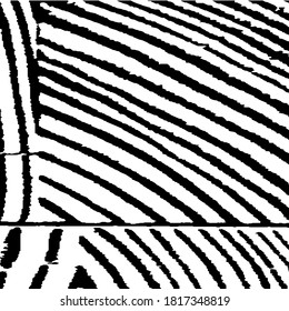 258 Arcuate structure Images, Stock Photos & Vectors | Shutterstock