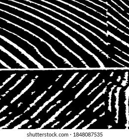 258 Arcuate structure Images, Stock Photos & Vectors | Shutterstock