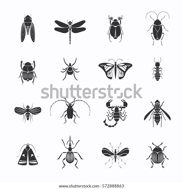 Monochrome Insects Silhouettes Set Minimalistic Style Stock Vector ...