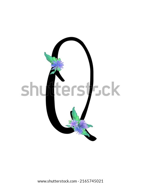 Monogram Letter Q Pretty Chicory Flowers Stock Vector (Royalty Free ...
