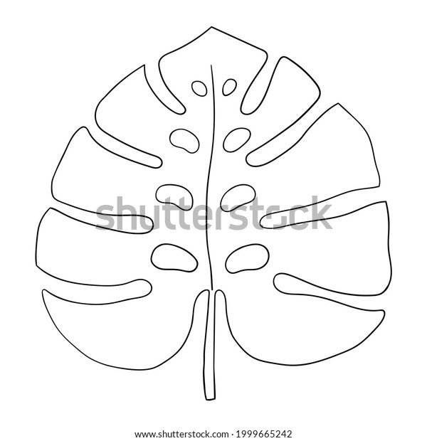 Monstera Outline Vector Sketch Hand Drawn Stock Vector (Royalty Free ...