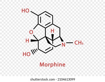 Morphin Images, Stock Photos & Vectors | Shutterstock