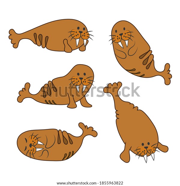 Morses Different Poses Cartoon Cute Characters Stock Vector (Royalty ...