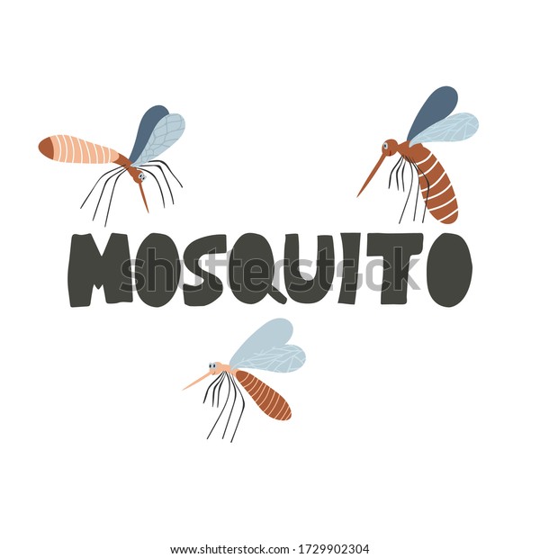 Mosquito Hand Drawn Lettering Vector Illustration Stock Vector (Royalty ...