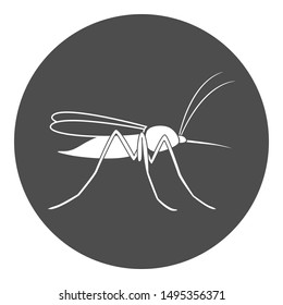 Gnat Images, Stock Photos & Vectors | Shutterstock